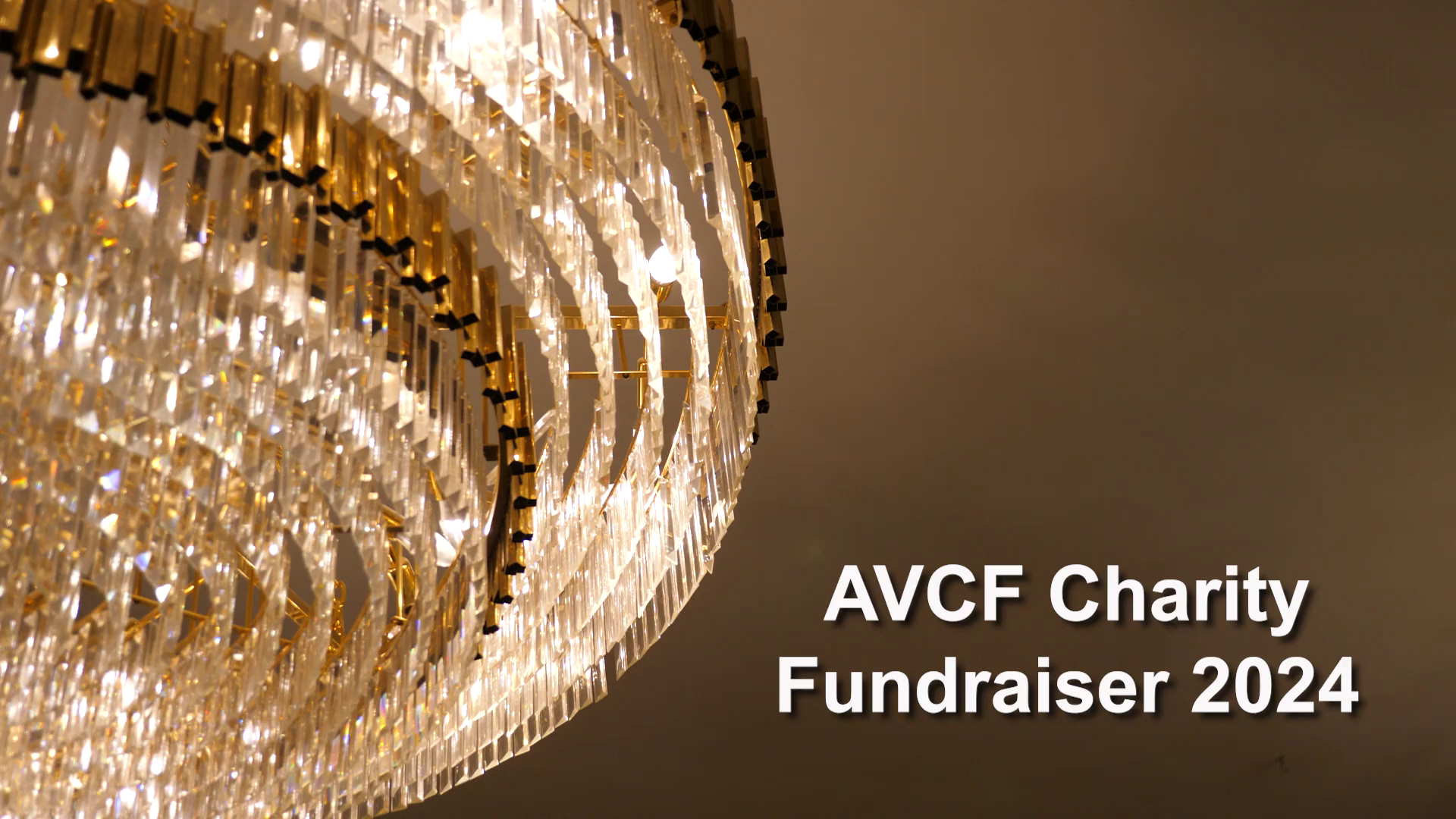 AVCF Charity Event 2024 - AVCF